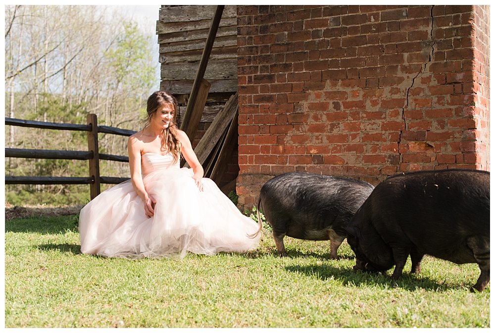A Farm Wedding in Lynchburg | Neil + Molly | Lynchburg, Virginia ...